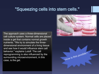 The cell and its evolution | PPT