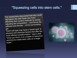 The cell and its evolution | PPT