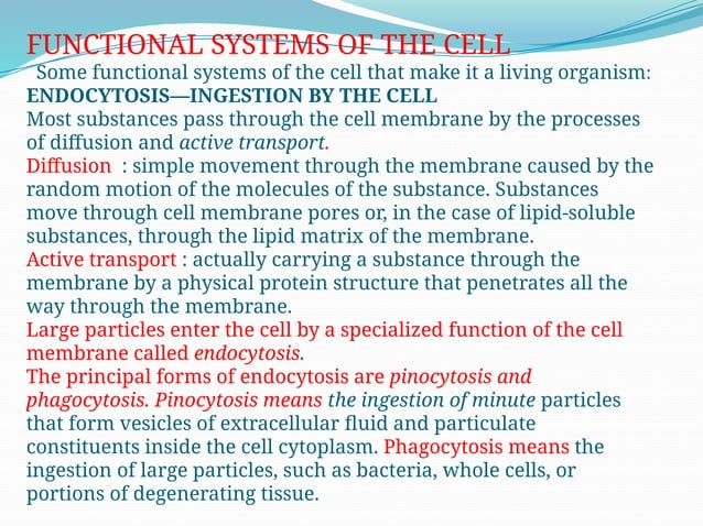 The Cell and Its Functions structurela.pptx