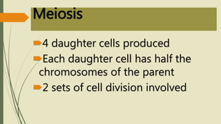The Cell Cycle (Mitosis & Meiosis) | PPTX