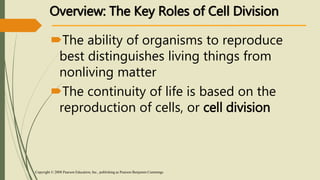 The Cell Cycle (Mitosis & Meiosis) | PPTX