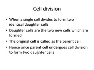 The cell cycle & Mitosis | PPTX