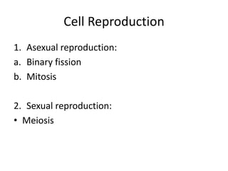 The cell cycle & Mitosis | PPTX