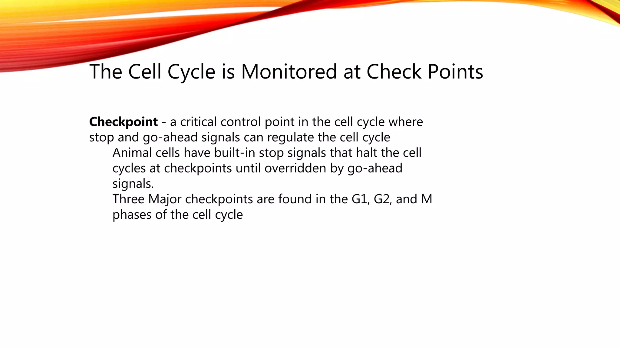 The cell cycle | PPTX