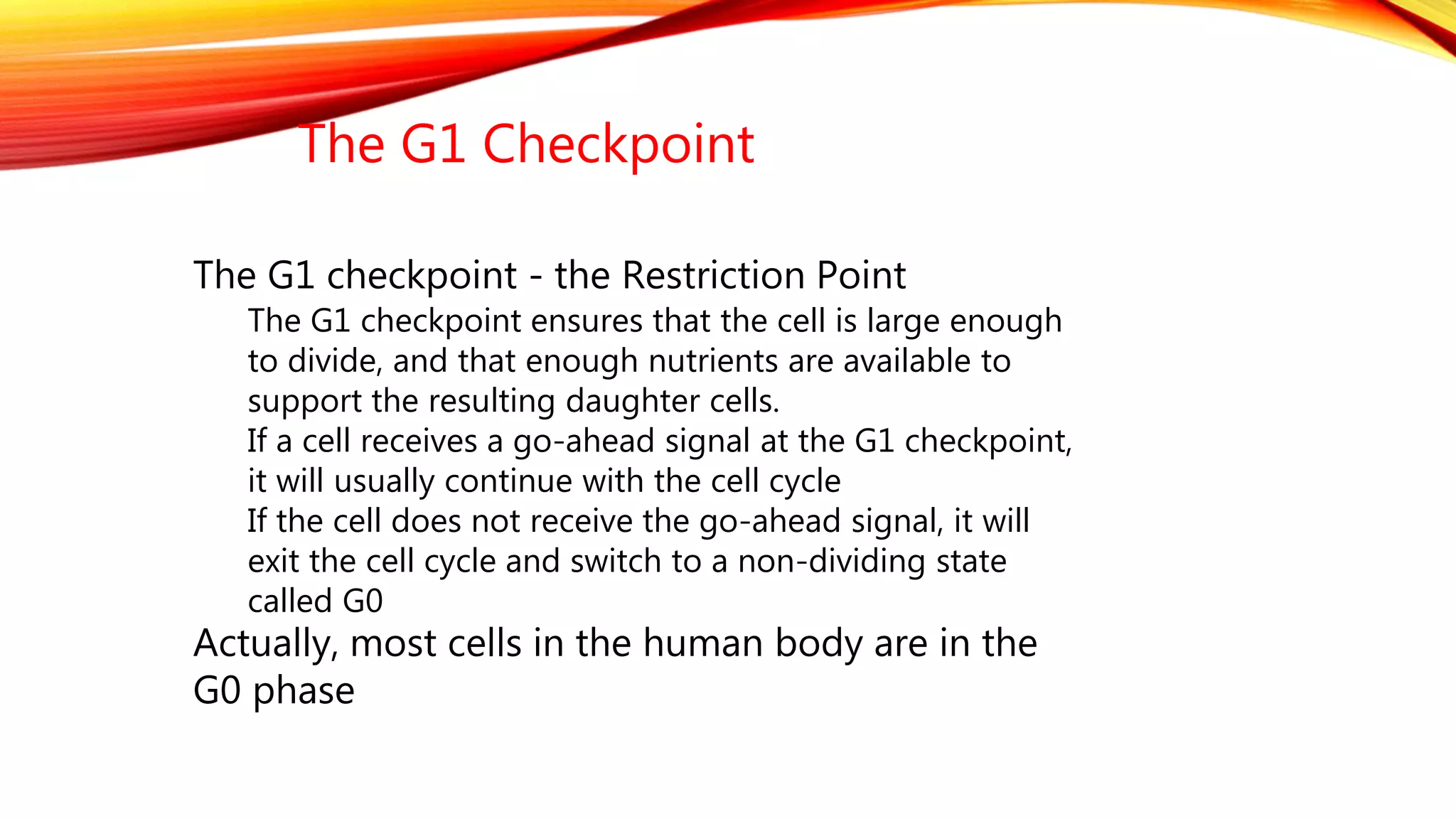 The cell cycle | PPTX