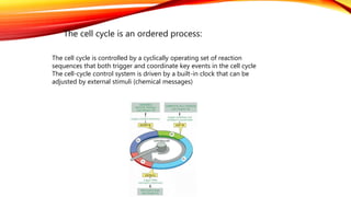 The cell cycle | PPTX