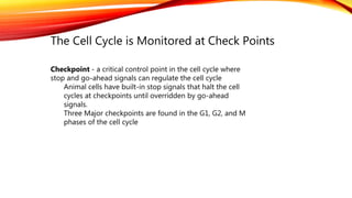 The cell cycle | PPTX