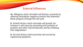 The cell cycle | PPTX