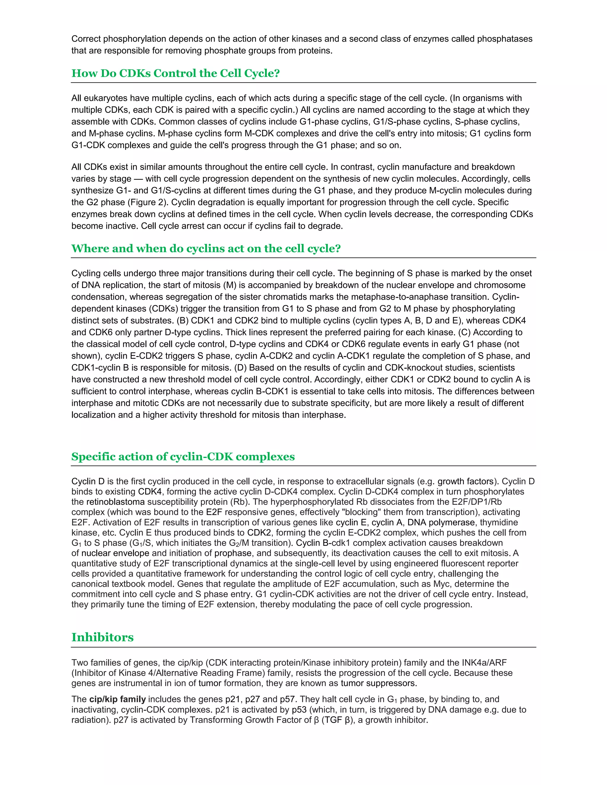 The cell cycle by Sami | PDF