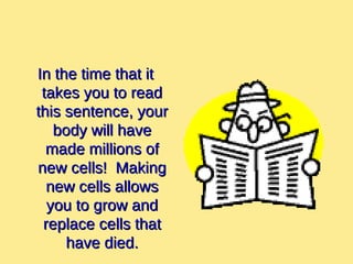The cell cycle | PPT