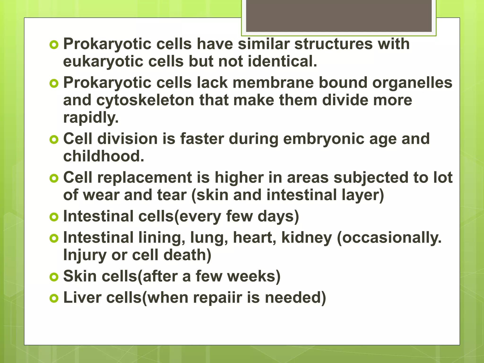 The cell cycle | PPTX | Biological Sciences | Science
