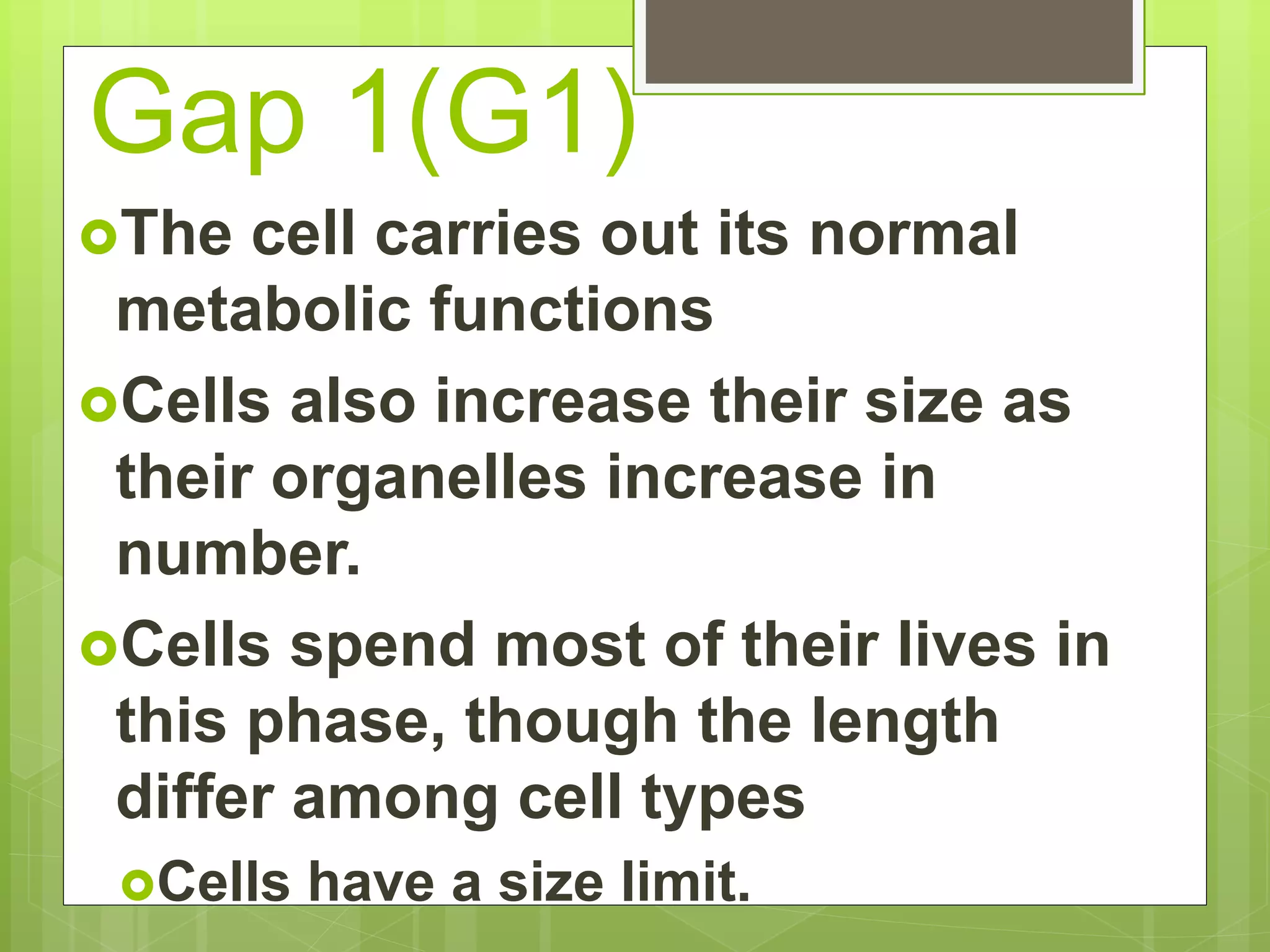 The cell cycle | PPTX | Biological Sciences | Science