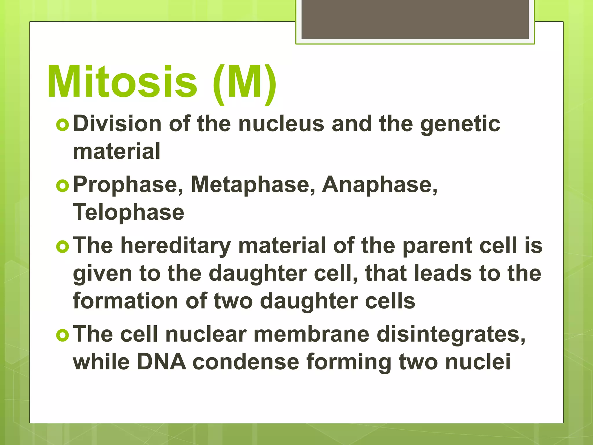 The cell cycle | PPTX | Biological Sciences | Science