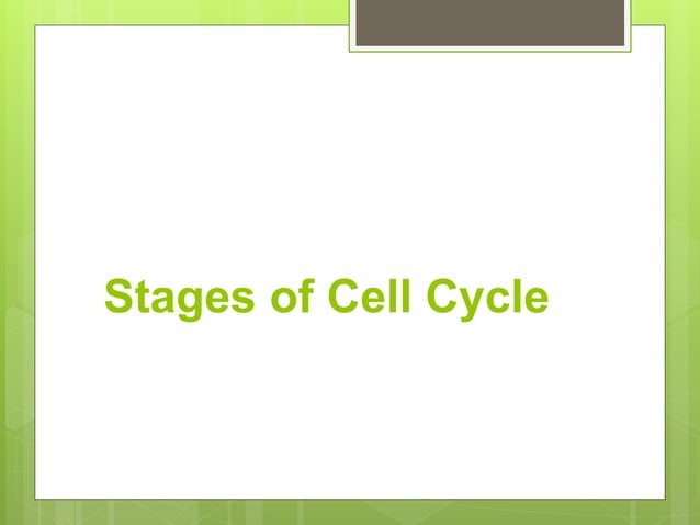 The cell cycle | PPT