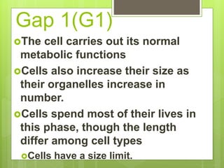The cell cycle | PPTX