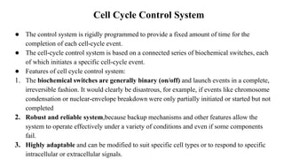 The Cell Cycle.pptx
