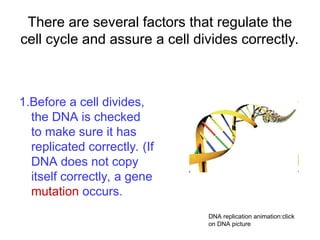 Role of The Cell Cycle and modulation in Cancer.ppt