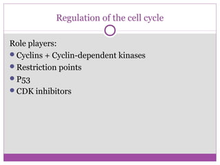 The cell cycle, basic concepts | PPT