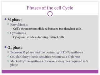 The cell cycle, basic concepts | PPT