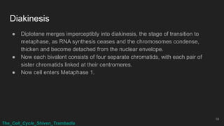 The Cell Cycle (Mitosis & Meiosis) by Shiven Trambadia | PPT