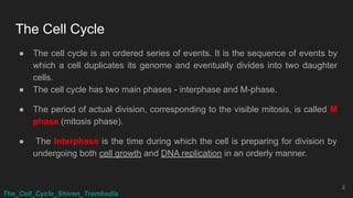 The Cell Cycle (Mitosis & Meiosis) by Shiven Trambadia | PPT