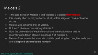 The Cell Cycle (Mitosis & Meiosis) by Shiven Trambadia | PPT