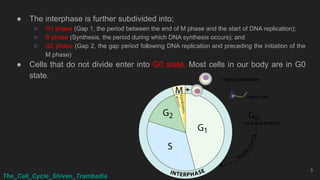 The Cell Cycle (Mitosis & Meiosis) by Shiven Trambadia | PPT