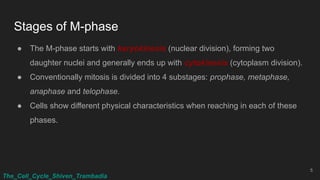 The Cell Cycle (Mitosis & Meiosis) by Shiven Trambadia | PPT