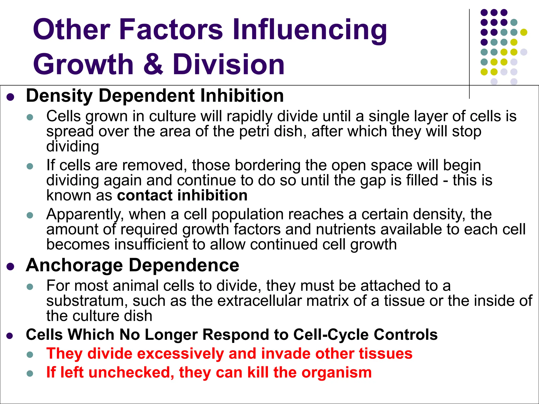 The Cell Cycle & Cancer.ppt appplied genetics | PPT