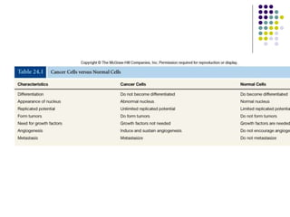 The Cell Cycle & Cancer.ppt appplied genetics | PPT