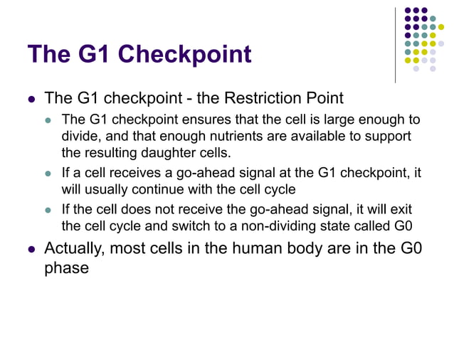 The Cell Cycle And Cancer Ppt Appplied Genetics Ppt Biological Sciences Science