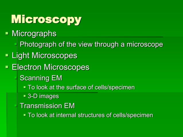 The cell factory | PPT