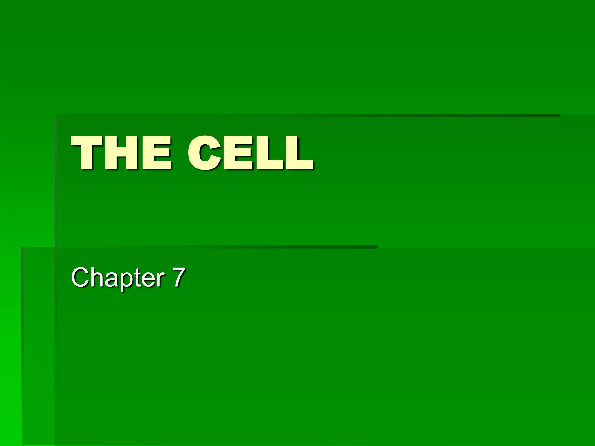 UPDATED The cell factory ppt | PPT