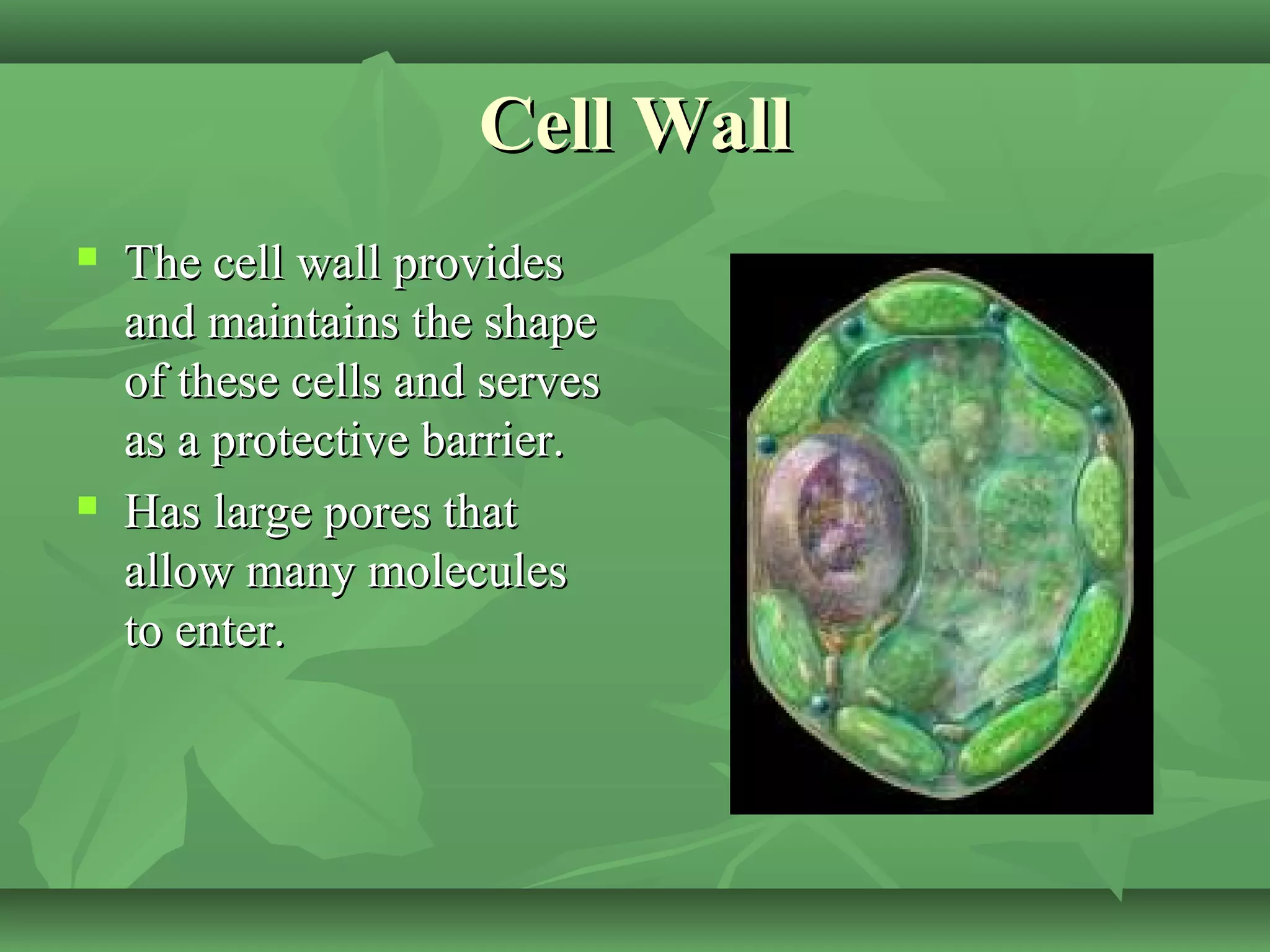 The cell factory ppt | PPT