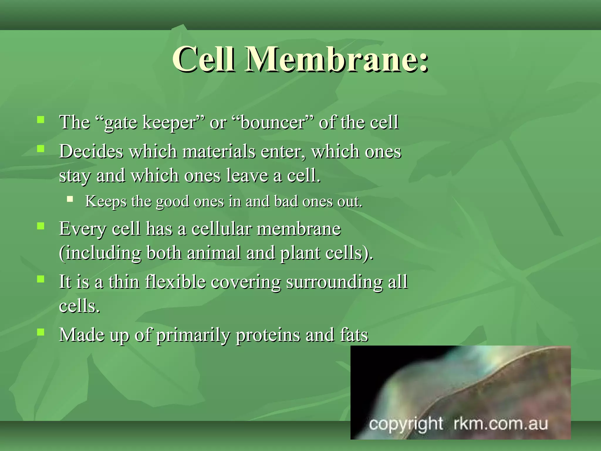 The cell factory ppt | PPT