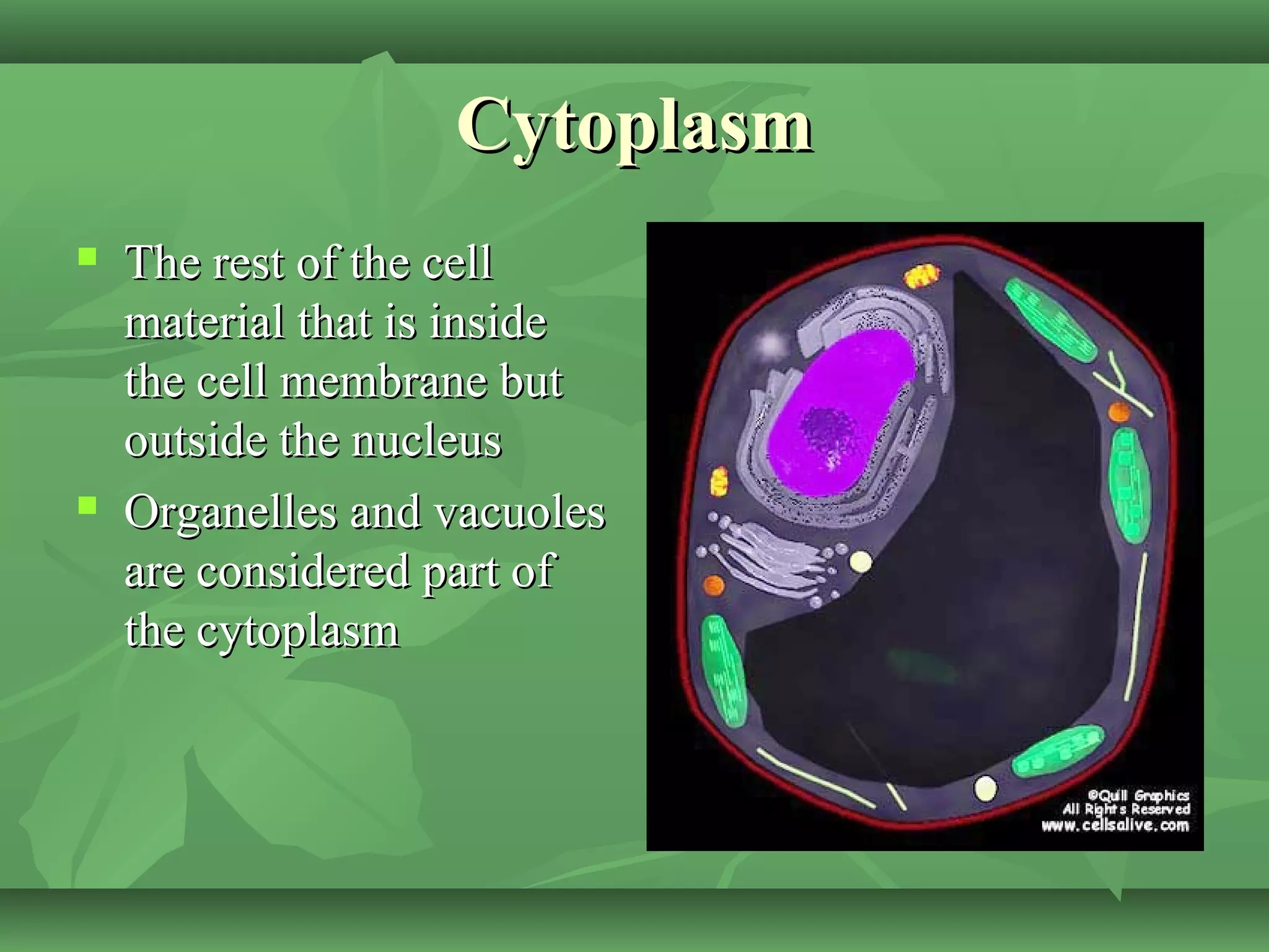 The cell factory ppt | PPT