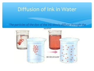 The cell in action | PPT