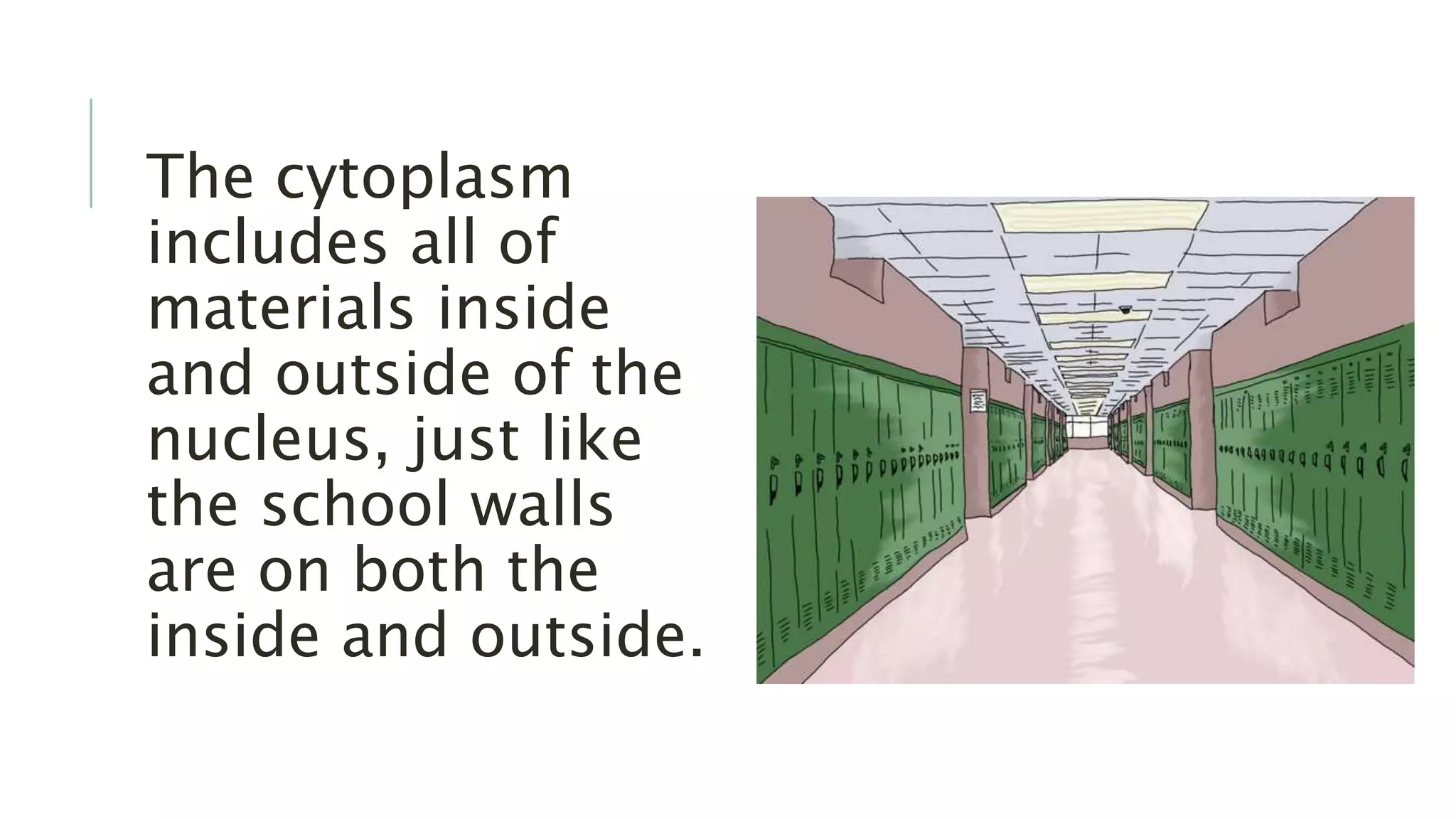 The cell is like a high school | PPTX | Biological Sciences | Science