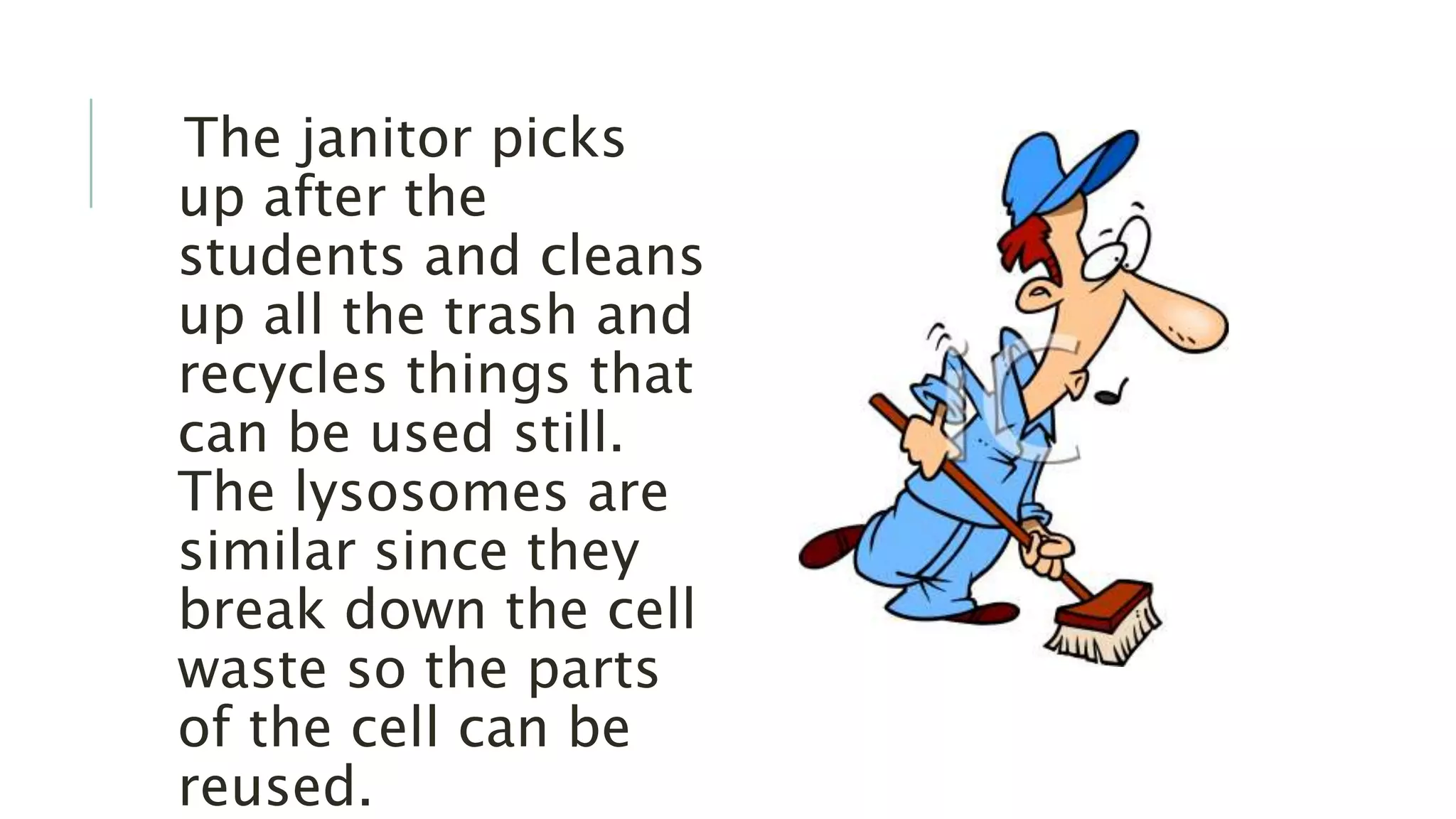 The cell is like a high school | PPTX | Biological Sciences | Science