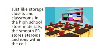 The cell is like a high school | PPTX | Biological Sciences | Science