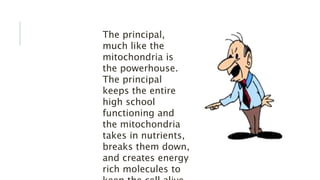 The cell is like a high school | PPTX | Biological Sciences | Science
