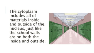 The cell is like a high school | PPTX | Biological Sciences | Science