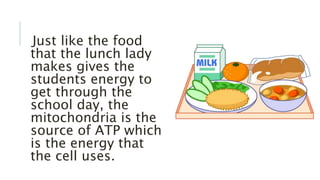 The cell is like a high school | PPTX | Biological Sciences | Science