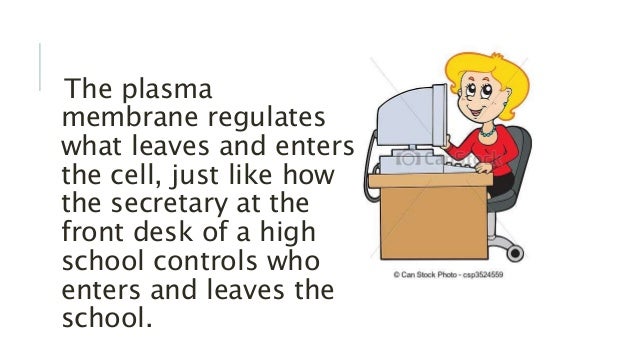 The cell is like a high school