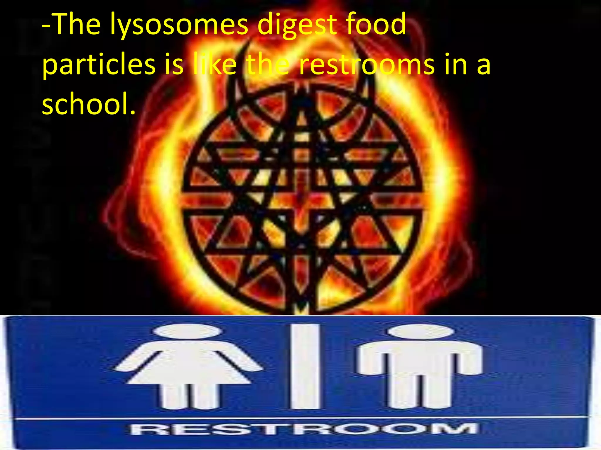 The cell is like a school | PPTX