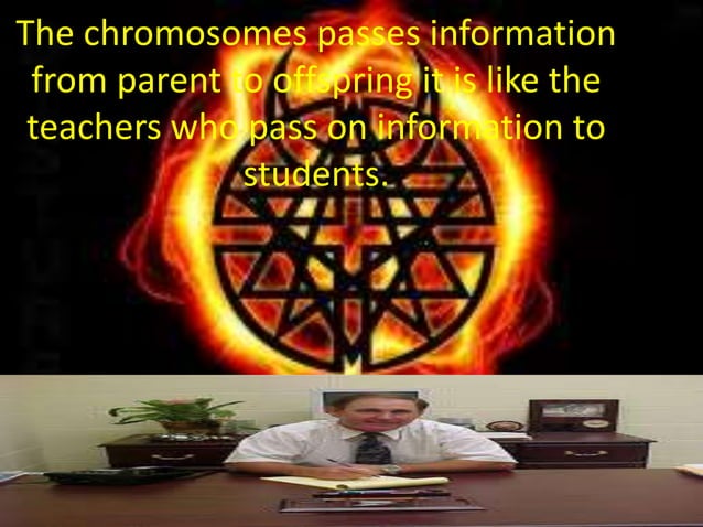 The cell is like a school | PPT