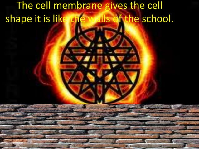 The cell is like a school | PPT