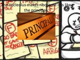 The cell is like a school | PPTX