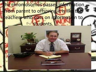 The cell is like a school | PPT