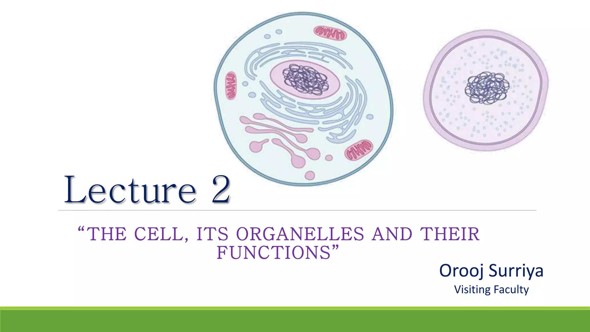 The cell its organells and their functions | PPTX